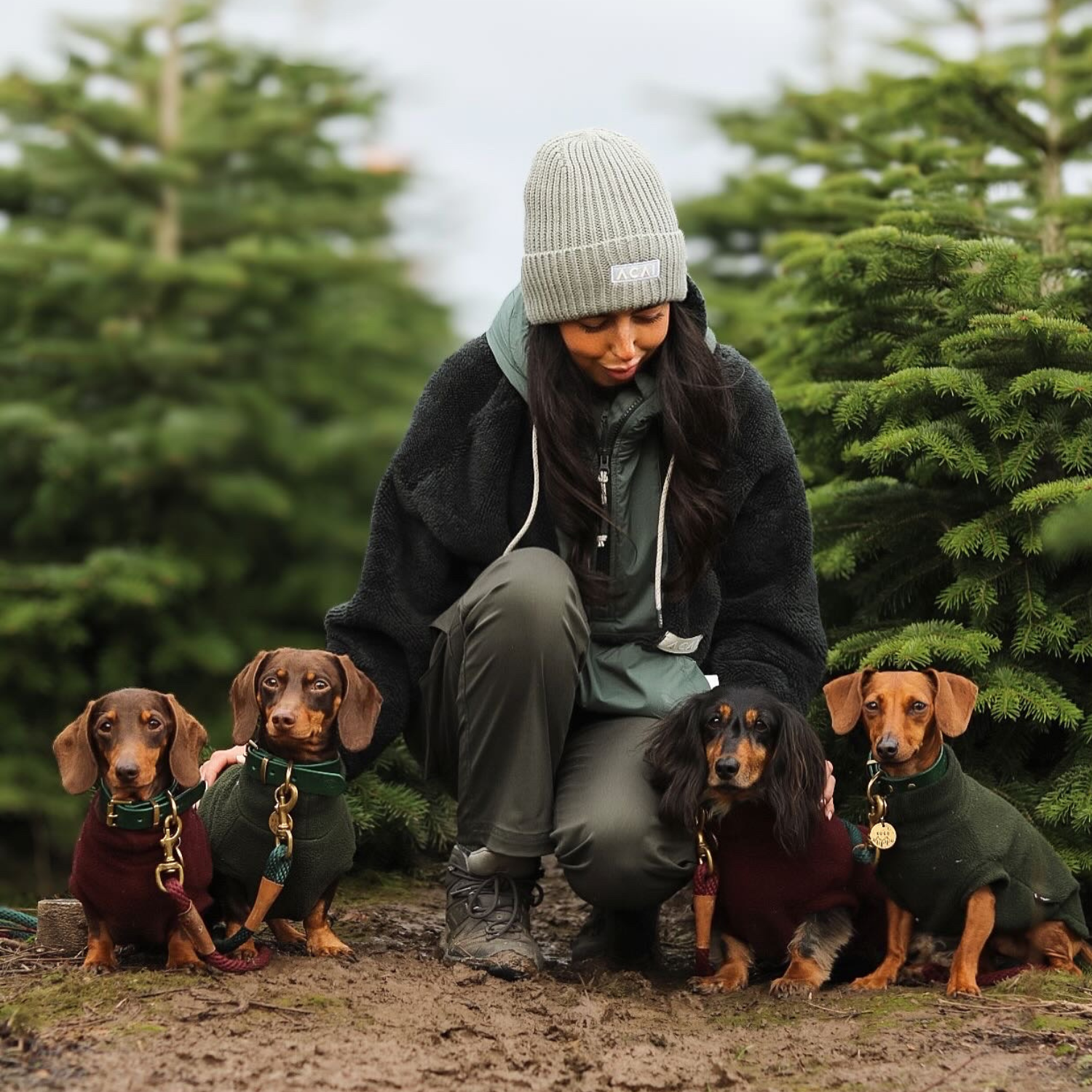 Top 5 Dog Walks in the UK for Scenic Adventures | The Daxie Adventures